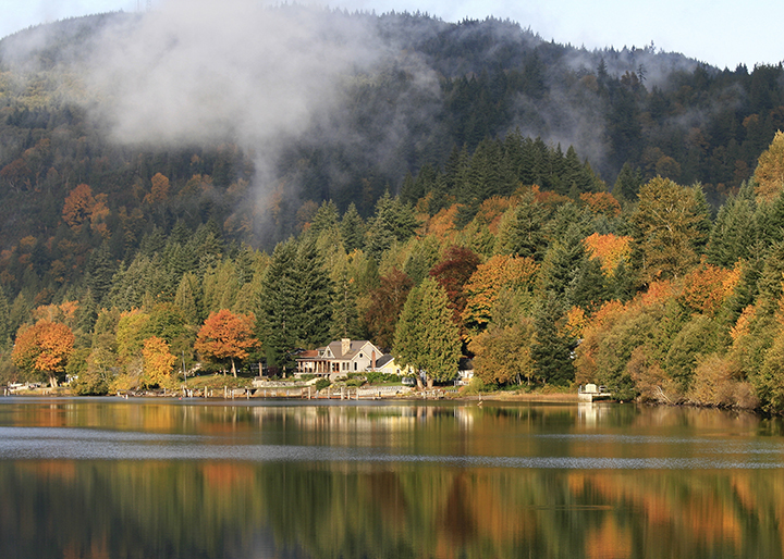 autumn lake – REI INK