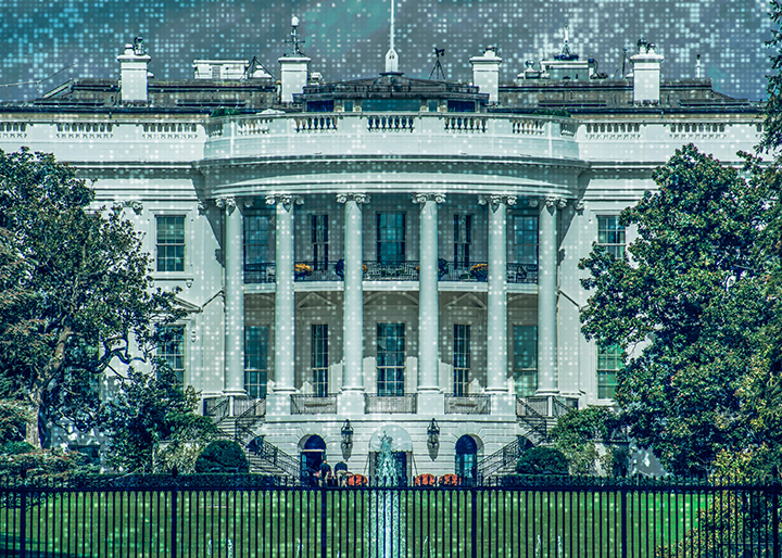 The White House Election – REI INK